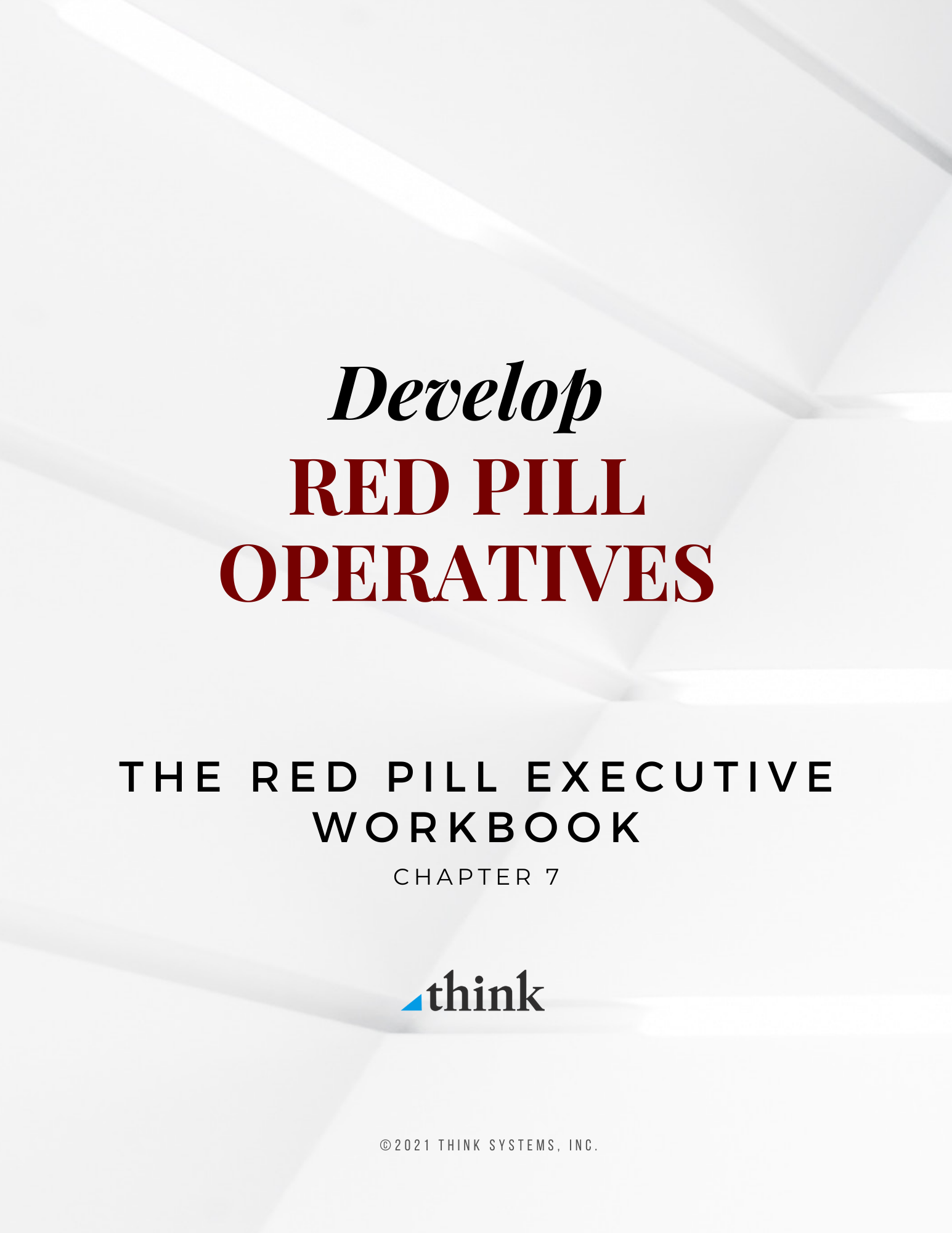 Red Pill Executive Workbook - Think Systems, Inc.